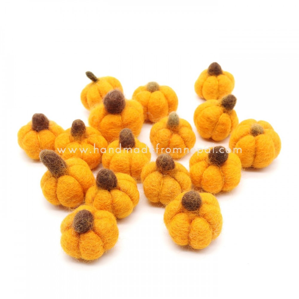 Felt pumpkin, felt vegetables