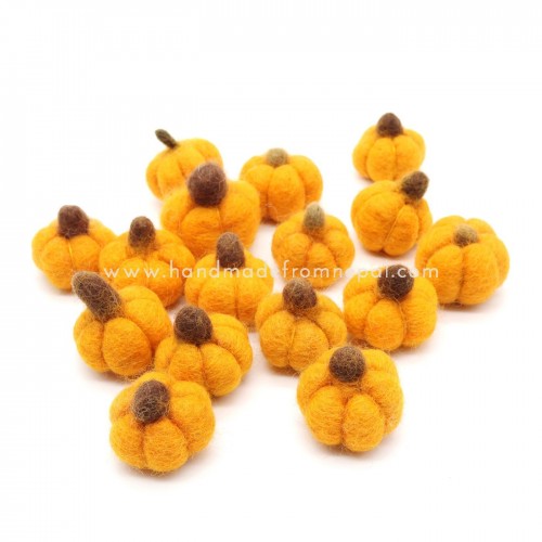 Felt pumpkin, felt vegetables