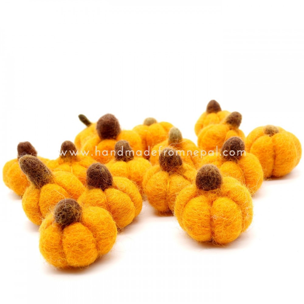 Felt pumpkin, felt vegetables