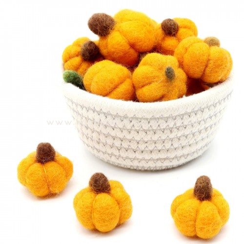 Felt pumpkin, felt vegetables